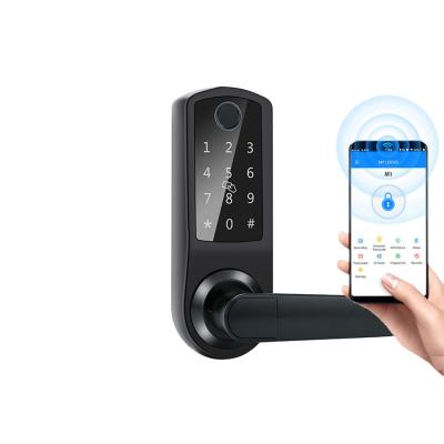 China Bluetooth Fingerprint Password Door Lock TTlock Touchscreen Keypad Door Lock for sale
