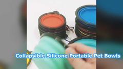 Collapsible Silicone Portable Pet Bowls | B2B Wholesale Factory Direct