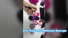 Silicone Makeup Egg Storage Box | Factory Direct OEM/ODM Wholesale