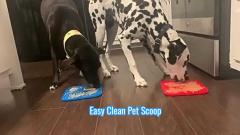 Wholesale Food Grade Silicone Pet Feeding Utensils Non-Stick Pet Scoop for Dogs Cats Feeding