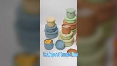 Leakproof Silicone Sealed Lunch Box Set Food Grade BPA Free Portable Food Storage Container for Kids