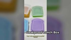 Wholesale Silicone Sandwich Lunch Box Food Grade Leakproof BPA Free Lunch Container for Work School