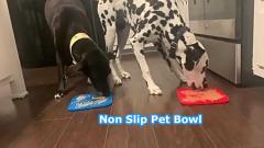 Wholesale Non-Slip Silicone Pet Dish Food Grade Pet Feeding Bowl for Dogs Cats