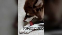 Pet Chow Toys