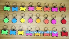 Silicone Pet Collars with ID Tags | Wholesale Custom Pet Accessories Factory