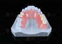 Quality TCS Flexible Partial Stain Resistant BPA Free Partial Dentures For Natural Look manufacturer