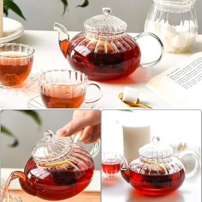 China OEM 600ml 20oz Pumpkin Ribbed Glass Teapot Heat Resistant Coffee Pot Stovetop Safe for sale