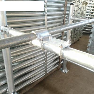 Cina Finitura OEM attrezzature per allevamenti lattiero-caseari aumentare il tempo di deposizione con stalle per bovini senza una sola mucca in vendita