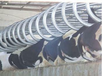 Cina Largamente utilizzato Recinzione galvanizzata in acciaio con vernice a colori in Hebei Nanfeng in vendita