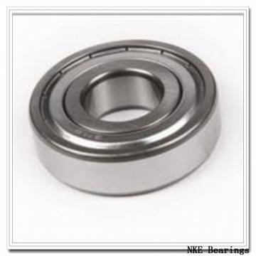 China 90 mm x 160 mm x 30 mm NKE NJ218-E-MPA cylindrical roller bearings for sale
