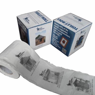 China printed toilet paper roll 250 sheets 100% virgin pulp advertisement toilet tissue for sale