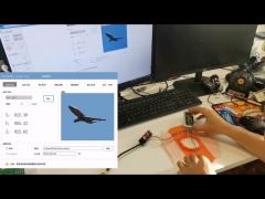 Sensor eletrônico RS232/RS485/TTL do compasso da Alto-precisão de BMR3300 6-Axis opcional
