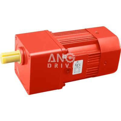 China Three 3 Phase AC 220V 380V Induction Motoredutor Reduction Gear Motor for sale
