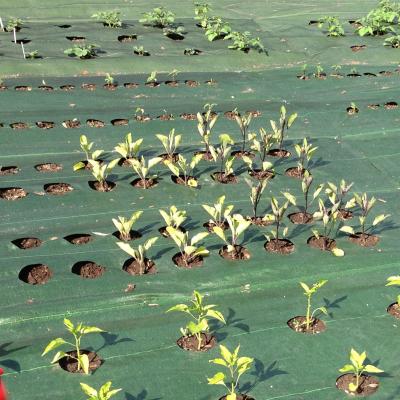 China Mat Anti Weed Mat Greenhouse Farm Planting Weeding Control Mat Anti Grass PP Plastic Ground Cover for sale