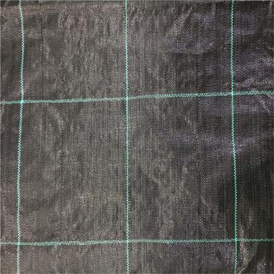 China Anti Weed Mat Plastic Mulch Film Agricultural Black Plastic Ground Cover Weed Mat for sale