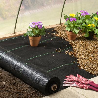 China Plastic cheap anti weed mat Woven polypropylene anti weed mat for agriculture for sale