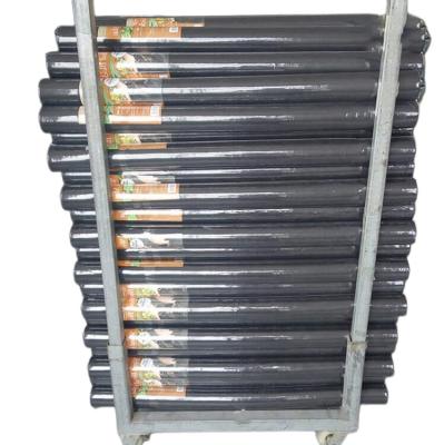 China Landscape Black Grass Cloth Weed Barrier Anti Grass Weed Control Mat landscaped garden for sale