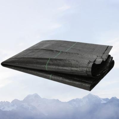 China Landscape Black Grass Cloth Weed Barrier cloth Anti Weed Mat Ground Cover for sale