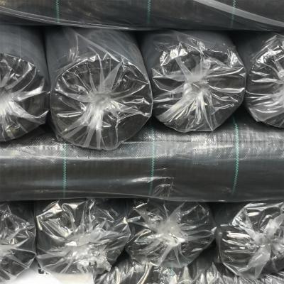 China Strawberry Plant Greenhouse Weed Mat Cover Ground Control Weed Growing Anti-weed Black PP Material for sale