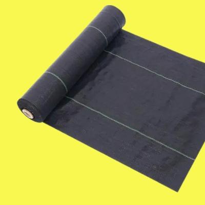 China Agriculture PP/PE Anti weed Prevent woven Fabric mat/weed control Barrier Landscape fabric roll mulching cloth for sale