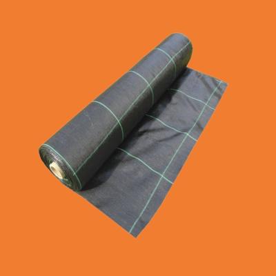 China Weedmat Fabric Anti Weed Mat/Weed Control Mat Ground Cover for sale