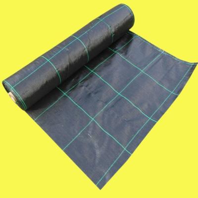 China garden ground cover fabric/weed barrier mat/plastic pp anti weed agro weed control mat for sale