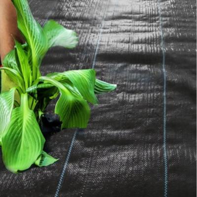 China Agricultural garden black color Plastic Anti Weed Mat Plastic Mulch Film Ground Cover for sale