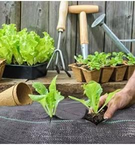 China Factory Crazy Price PP garden ground cover fabric / anti weed control mat 1*10m or 2*5m Fold into sheets for sale