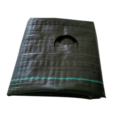 China Plastic cheap 100gsm PP fabric for ground cover and weed control mat en venta