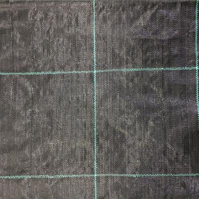 China high quality weed control mat & fire resistant ground cover & pp woven weed control mat with cheap price en venta