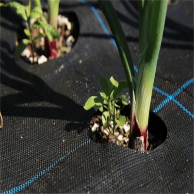 China PP Woven Garden Fabric Mulch Weedmats For Garden Vegetable Weed Control for sale