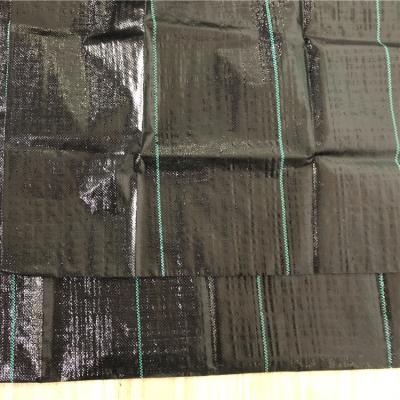 China PP Woven Garden Fabric PP Woven Garden Fabric Mulch Weedmats For Garden Vegetable Weed Control for sale
