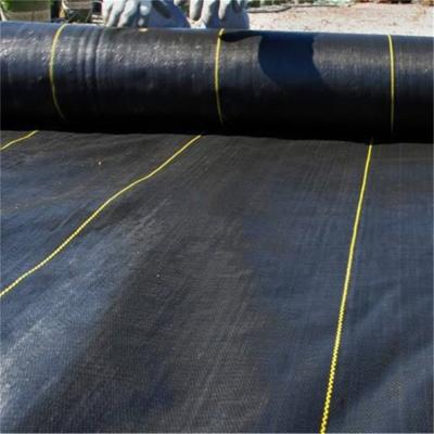 China PP Woven Garden Fabric Mulch Weedmats For Garden Vegetable Weed Control for sale
