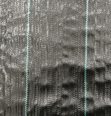 China agrotextile pp woven geotextile mat ground cover /against weeds/anti-weed mats in the gardening for sale