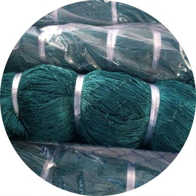 China Newly Fishing Net 0.1mm to 2 MM Diameter Nylon Monofilament Net Blue for sale
