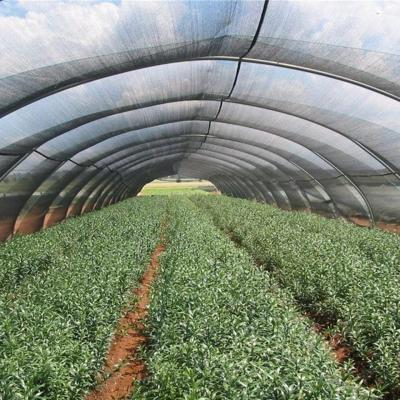 China Knitted Shade Cloth Sun Shade Cloth for sale