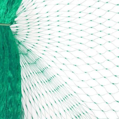 China UV stabilized plastic agricultural anti bird netting for orchard/garden/fruit tree for sale
