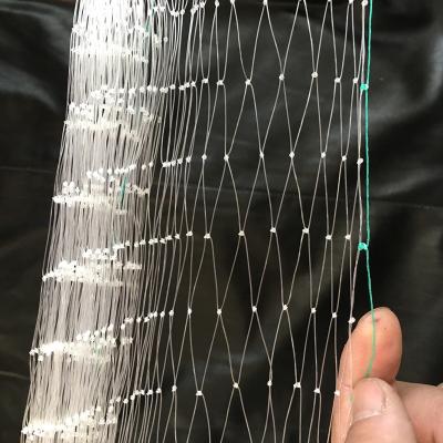 China Anti-bird Netting in Agriculture Using  Plastic mesh bird netting for sale