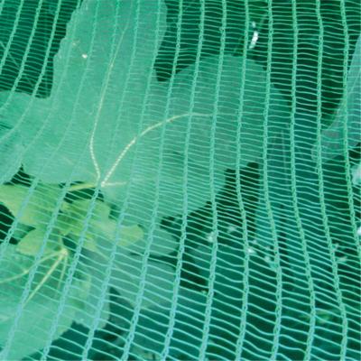 China Red anti blanca del saludo en venta