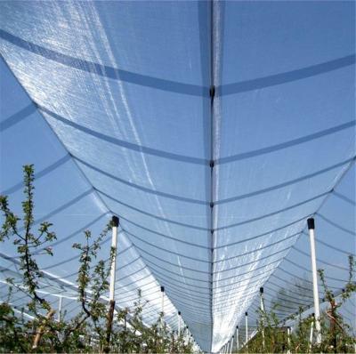 China UV treated 100% virgin HDPE anti hail net for sale