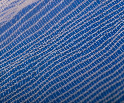 China Bee net /Anti hail net/Drape net for agricultural farms, orchard trees for sale