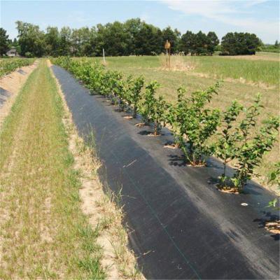 China 200 metros de la tela de la mala hierba de la barrera de la agricultura de tierra del paño de jardín anti de la cubierta en venta