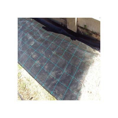 China Horticulture Landscaping fabric/Weed barrier fabric/Plastic Ground Cover Net for sale