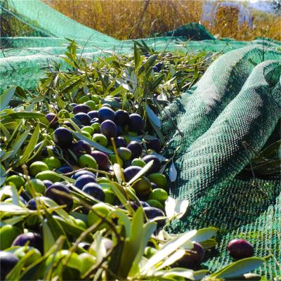 China Red barata de la cosecha del olivo del precio del diseño de la agricultura en venta