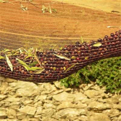China Red barata de la cosecha del olivo del precio del diseño de la agricultura en venta