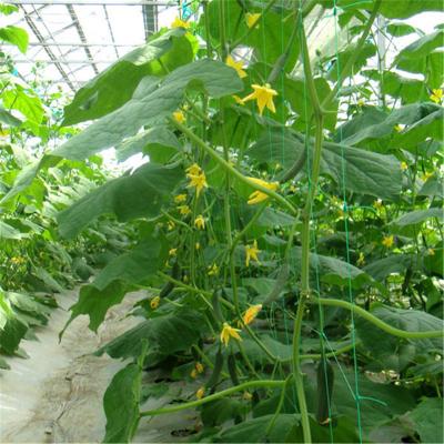 China Red agrícola agrícola de la ayuda de la planta que sube en venta