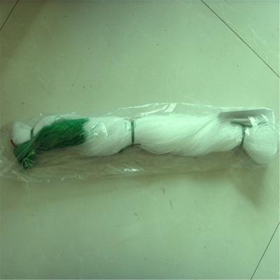 China China Factory Supply Trellis Netting Plastic Wire Mesh/Low Price PE for sale