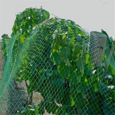 China Newest Design Outdoor Customized Bird Mist Nets for sale