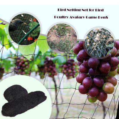 China Virgin Agricultural Nylon UV Treated Anti Bird Net for sale