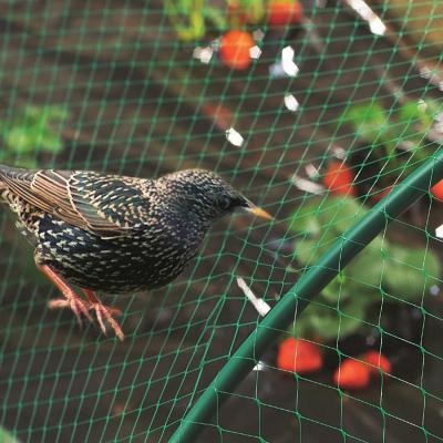 China HDPE Transparent Agricultural Anti bird net, anti bird netting for sale